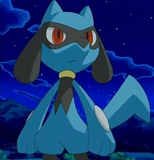 Riolu | Wiki Pokémon Brasil | Fandom
