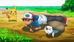 Oshawott Perde a Quebra-Concha! | Wiki Pokémon Brasil | Fandom