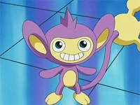 Aipom | Wiki Pokémon Brasil | Fandom