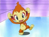Chimchar/Galeria | Wiki Pokémon Brasil | Fandom
