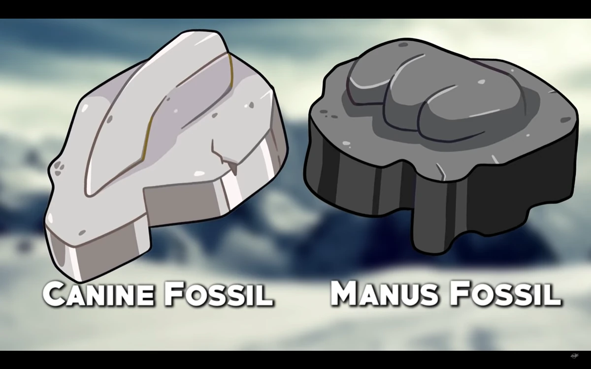 Fossils | Pokemon Cardinal Wiki | Fandom