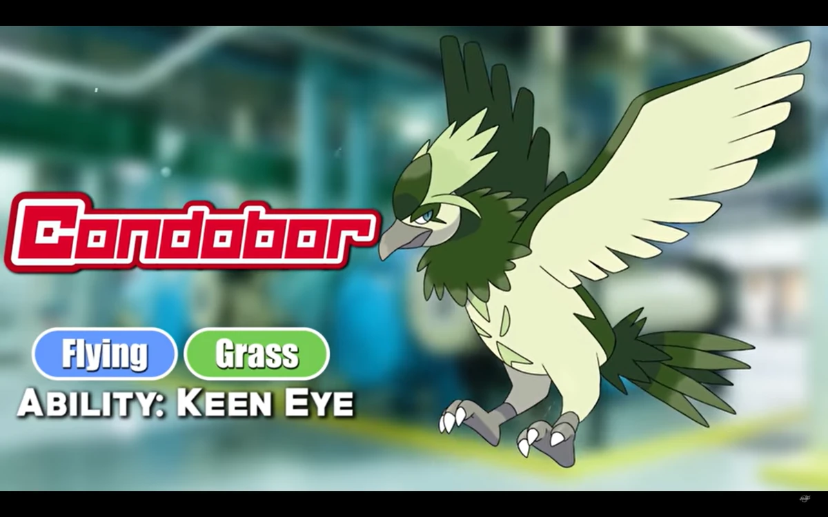 Condobor | Pokemon Cardinal Wiki | Fandom