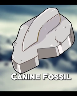 Fossils | Pokemon Cardinal Wiki | Fandom