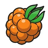 Razz | Pokemon Castaways Wiki | Fandom