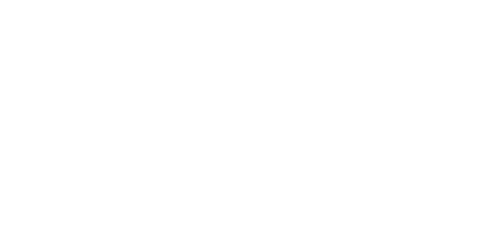 Entei | Pokemon Castaways Wiki | Fandom