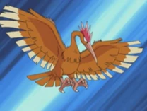 Butch | Pokemon Champions Wiki | Fandom
