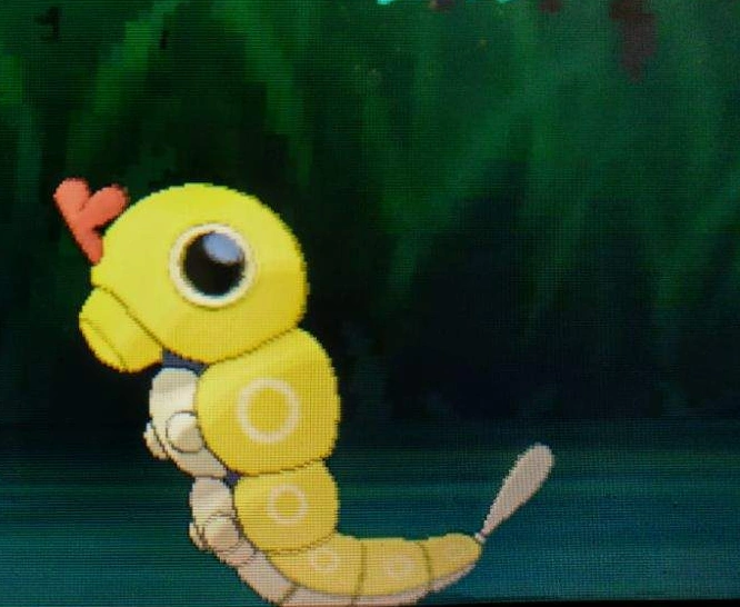 Shiny Pokemon | Pokemon Champions Wiki | Fandom