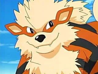 Sean's Arcanine | Pokemon Champions Wiki | Fandom