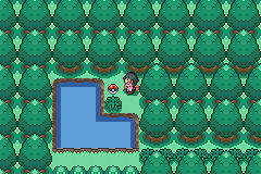 El Bosque | Pokemon Chileno Wiki | Fandom