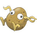 Potarded | Pokemon Clover Wikia | Fandom