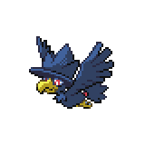 Murkrow | Pokémon Daybreak Wiki | Fandom