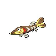 Arrokuda | Pokémon Daybreak Wiki | Fandom