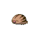 Swinub | Pokémon Daybreak Wiki | Fandom