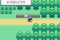 Route 615 | Pokémon Procyon/Deneb Wiki | Fandom