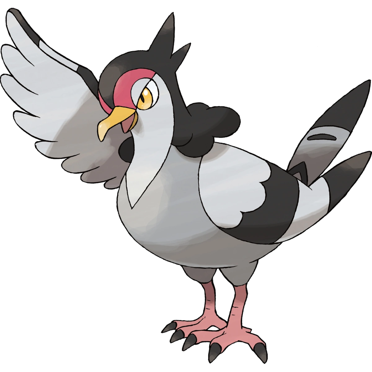 Tranquill | Pokemon Dex Wiki | Fandom