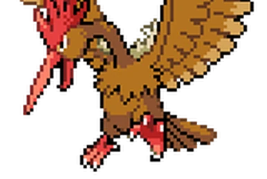 Fearow Evolution