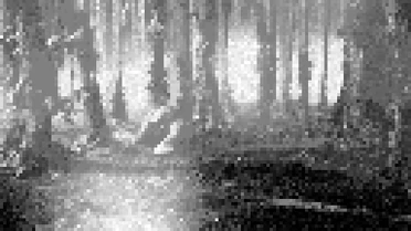 Distorted Reality | Pokemon Empire Wiki | Fandom