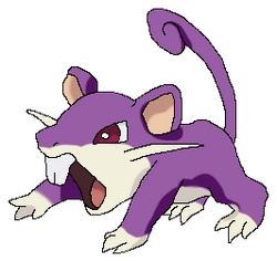 Rattata | PoKéMoN-Encyclopedia Wiki | Fandom