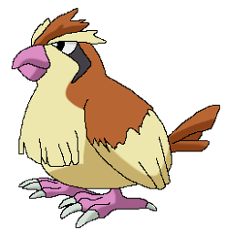 Pidgey | PoKéMoN-Encyclopedia Wiki | Fandom