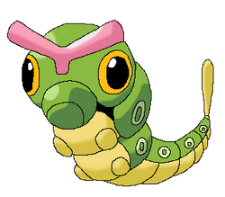 Caterpie | PoKéMoN-Encyclopedia Wiki | Fandom