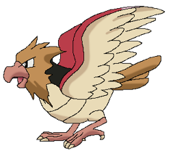 Spearow | PoKéMoN-Encyclopedia Wiki | Fandom