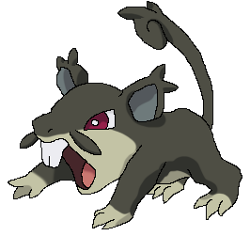 Rattata | PoKéMoN-Encyclopedia Wiki | Fandom