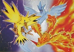 The Legendary Birds | Pokemon experts Wiki | Fandom