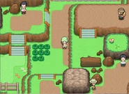 Pokémon Ethereal Gates | Pokémon Fan Game Wiki | Fandom