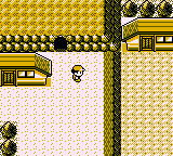 Pokémon Brown | Pokémon Fan Game Wiki | Fandom