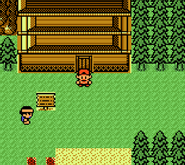 Pokémon Prism | Pokémon Fan Game Wiki | Fandom