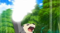 Kione's Pangoro | Pokémon Fano Wiki | Fandom