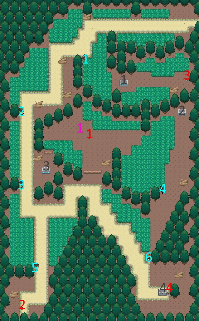 Dark Forest North | Pokémon Fantasy Wiki | Fandom