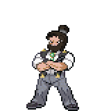 Iron Furnace | Pokémon Fantasy Wiki | Fandom