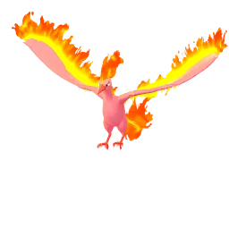 Moltres | Pokemon go Wiki | Fandom