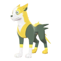 Boltund | Pokemon go Wiki | Fandom