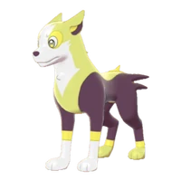 Boltund | Pokemon go Wiki | Fandom