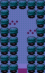 Jade Forest | Pokemon Gold & Silver 97 Reforged Wiki | Fandom