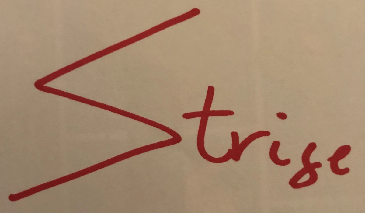 Team Strife | Pokémon: Infinite Legacies Wiki | Fandom