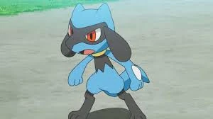 Shoichi's Riolu | Pokemon Journeys: My Fanon Wiki | Fandom