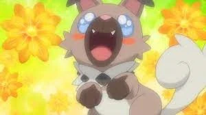 Brock's Rockruff | Pokemon Journeys: My Fanon Wiki | Fandom