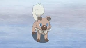 Ciel's Rockruff | Pokemon Journeys: My Fanon Wiki | Fandom