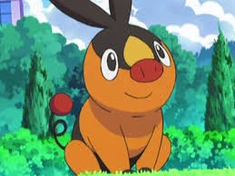 Fatgum's Tepig | Pokemon Journeys: My Fanon Wiki | Fandom