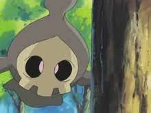 Ciel's Duskull | Pokemon Journeys: My Fanon Wiki | Fandom