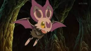 Ciel's Noibat | Pokemon Journeys: My Fanon Wiki | Fandom