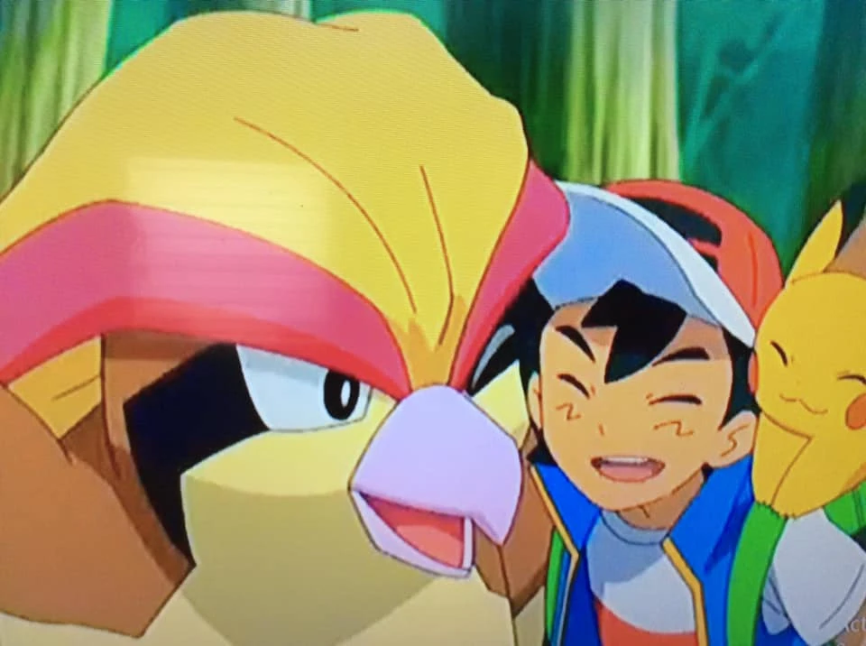 Ash's Pidgeot | Pokemon Journeys: My Fanon Wiki | Fandom