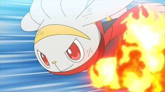 Deku's Raboot | Pokemon Journeys: My Fanon Wiki | Fandom