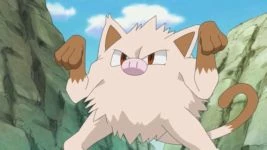 Seiji's Mankey | Pokemon Journeys: My Fanon Wiki | Fandom