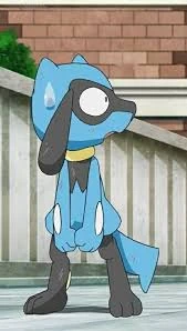 Deku's Riolu | Pokemon Journeys: My Fanon Wiki | Fandom