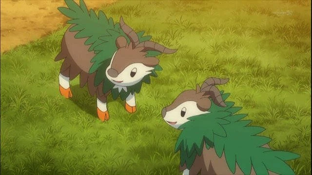 Pony's Skiddo | Pokemon Journeys: My Fanon Wiki | Fandom