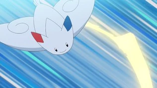 Tamaki's Togekiss | Pokemon Journeys: My Fanon Wiki | Fandom